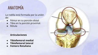 FRACTURAS DE LA MESETA TIBIAL c.pptx