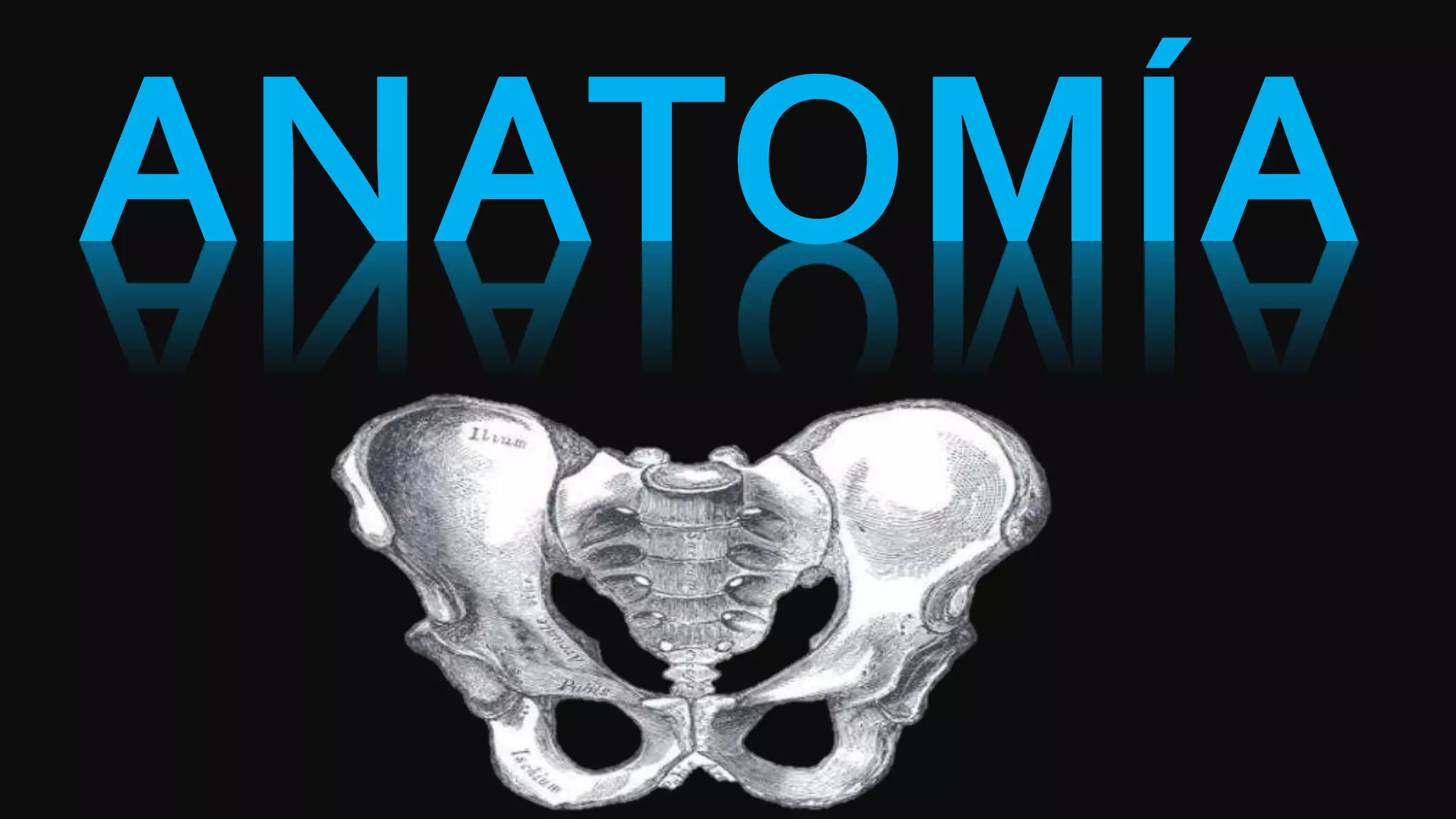 FRACTURAS DE PELVIS Y ACETABULO. TRAUMATOLOGÍA | PPT