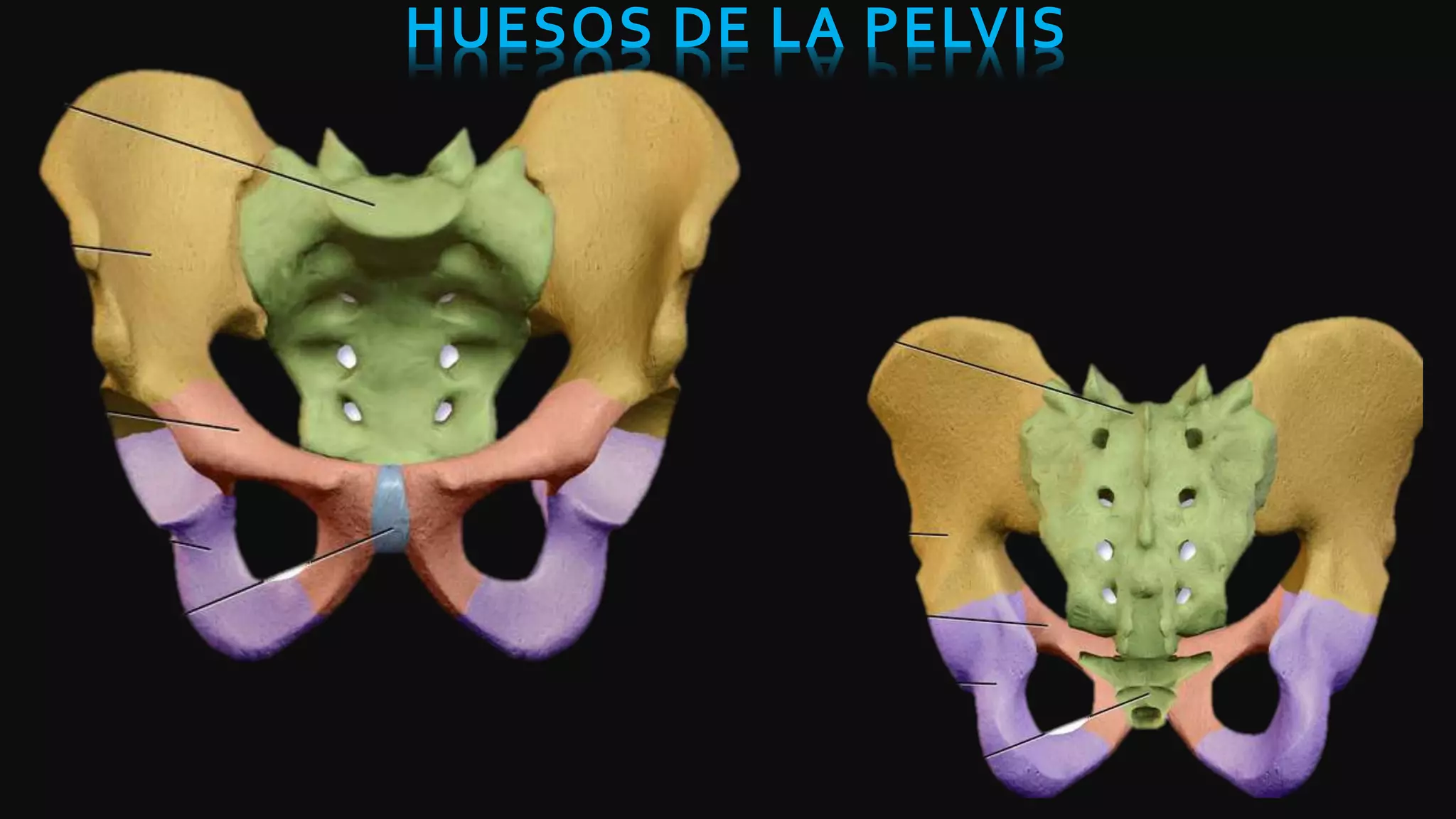 FRACTURAS DE PELVIS Y ACETABULO. TRAUMATOLOGÍA | PPT