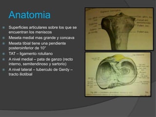 Fracturas de platillo tibial | PPTX