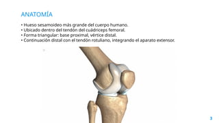 Fracturas de rótula, DIAGNOSTICO, TRATAMIENTO, | PPTX