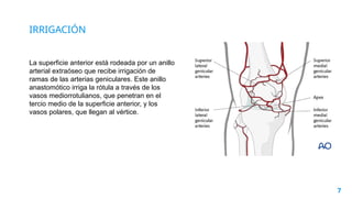 Fracturas de rótula, DIAGNOSTICO, TRATAMIENTO, | PPTX