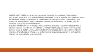 Fracturas de tibia y perone | PPTX