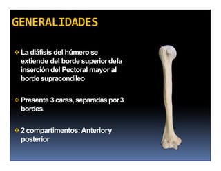 Fracturas diafisis de humero | PPTX
