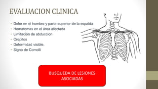 ANATOMIA Y FRACTURAS DE ESCAPULA Y ACROMION.pptx