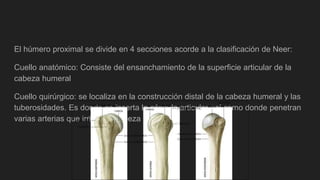 Fracturas de húmero proximal | PPTX