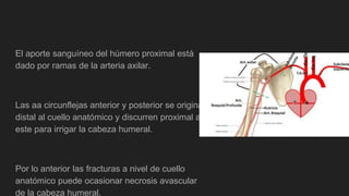 Fracturas de húmero proximal | PPTX