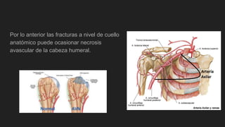 Fracturas de húmero proximal | PPTX