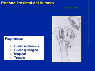 Fracturas miembro superior traumatología | PPT