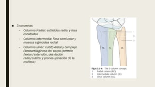 FRACTURAS RADIO DISTAL GENERALIDADES.pptx
