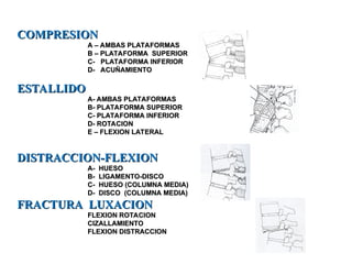 Fracturas de columna ToracoLumbares diagnóstico y manejo.ppt