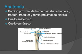 Fracturas y luxaciones de hombro | PPTX