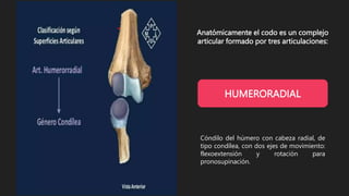 FRACTURA Y LUXACION DEL CODO.pptx