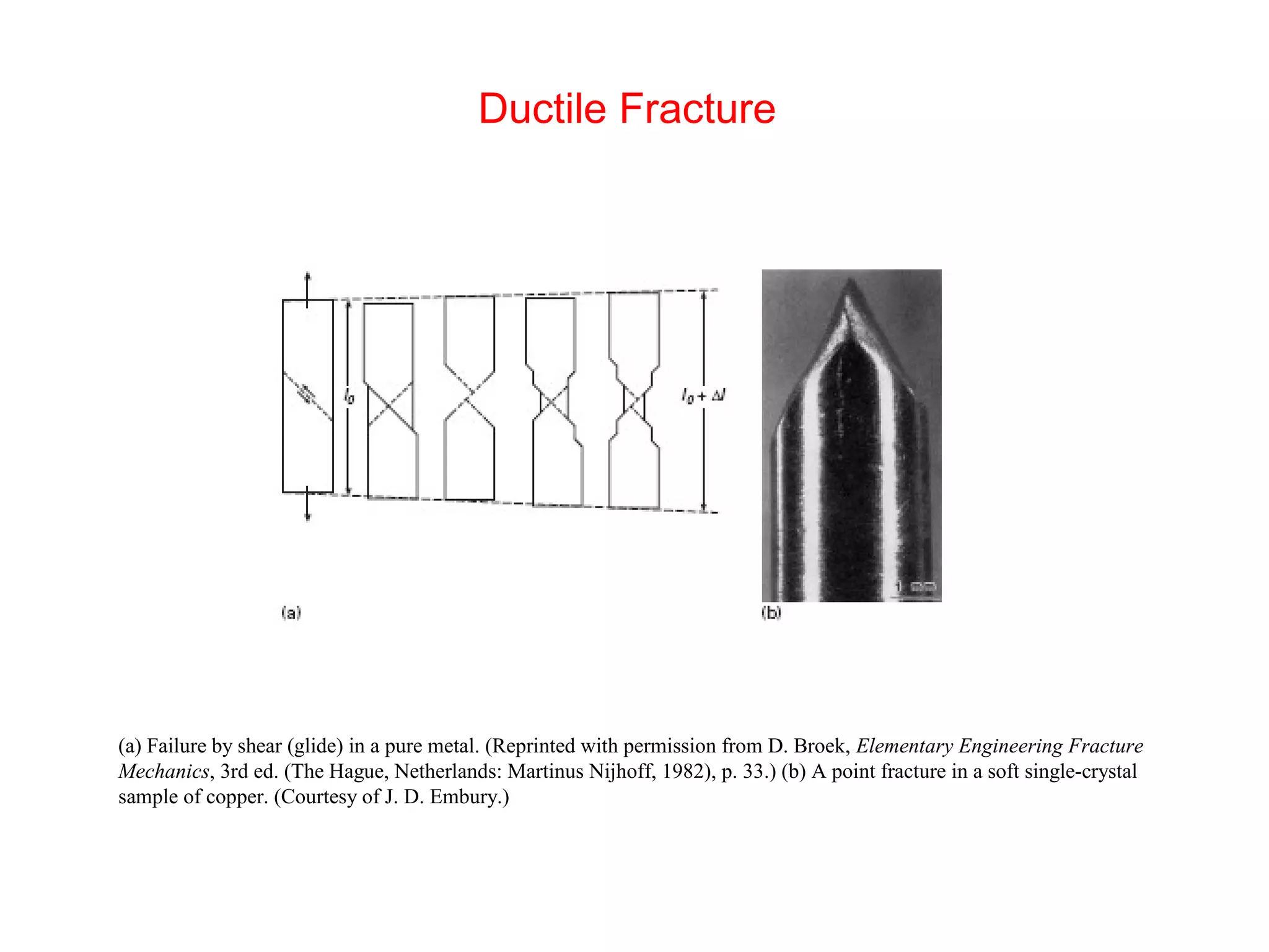 Introduction of Fracture | PPT