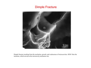 Introduction of Fracture | PPT