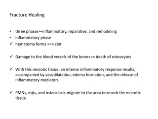 Fracture | PDF