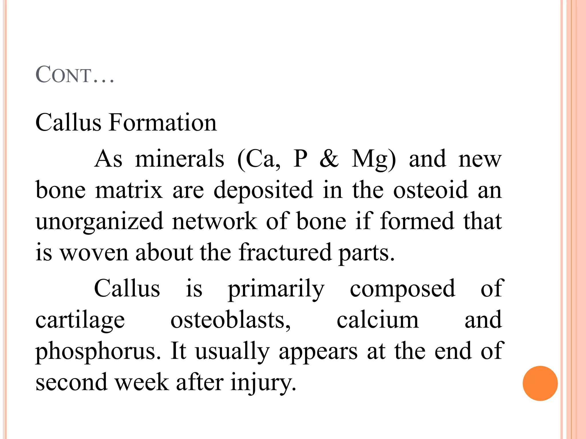 Fracture | PDF