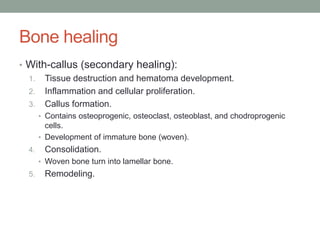 fracture healing in orthopedics in a nutshell.pdf