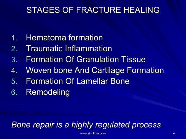 Healing of bone fracture- general pathology | PDF | Death, Injury, or ...