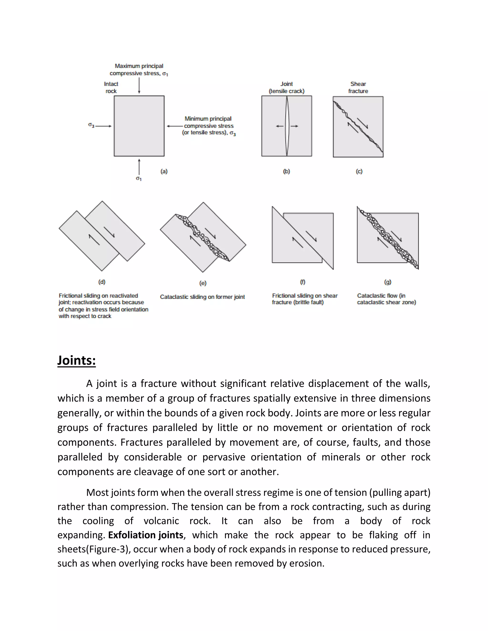 Fracture and joints | PDF