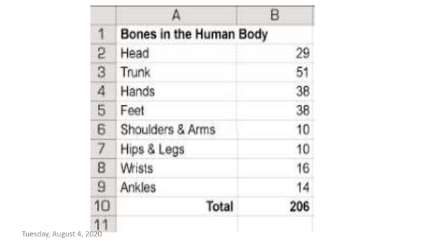 Fracture (Ayoub) | PPTX