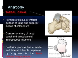 Fracture calcaneum and talus by dr ashutosh | PPTX