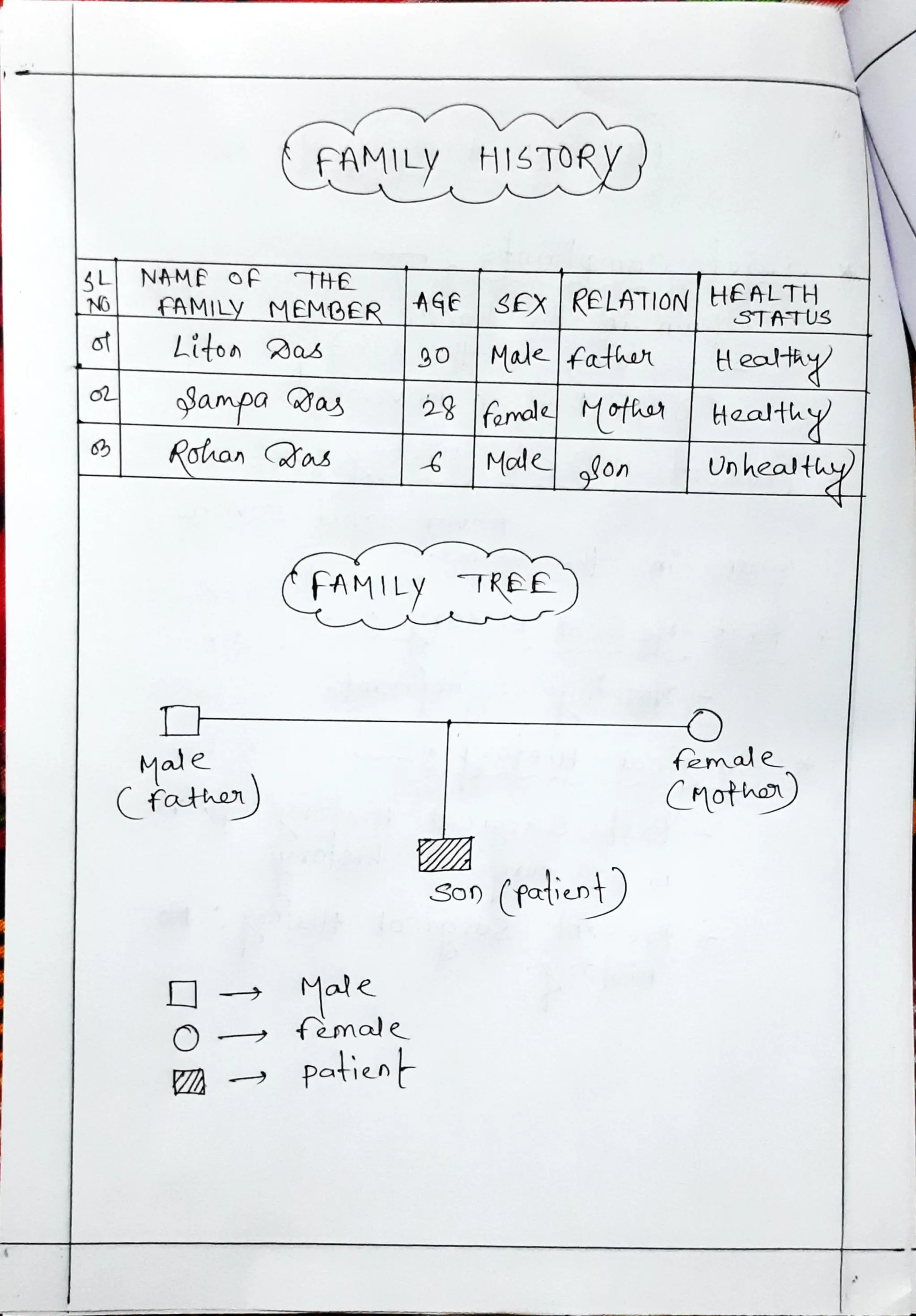 Care Plan -Fracture //GNM ,B.Sc nursing 2024#2k24//RGUSH, | PDF