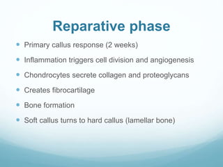 Fracture , classification and healing | PPTX
