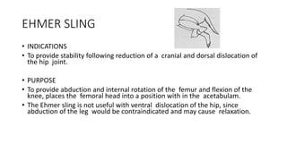 Fracture Fixation Techniques.pptx