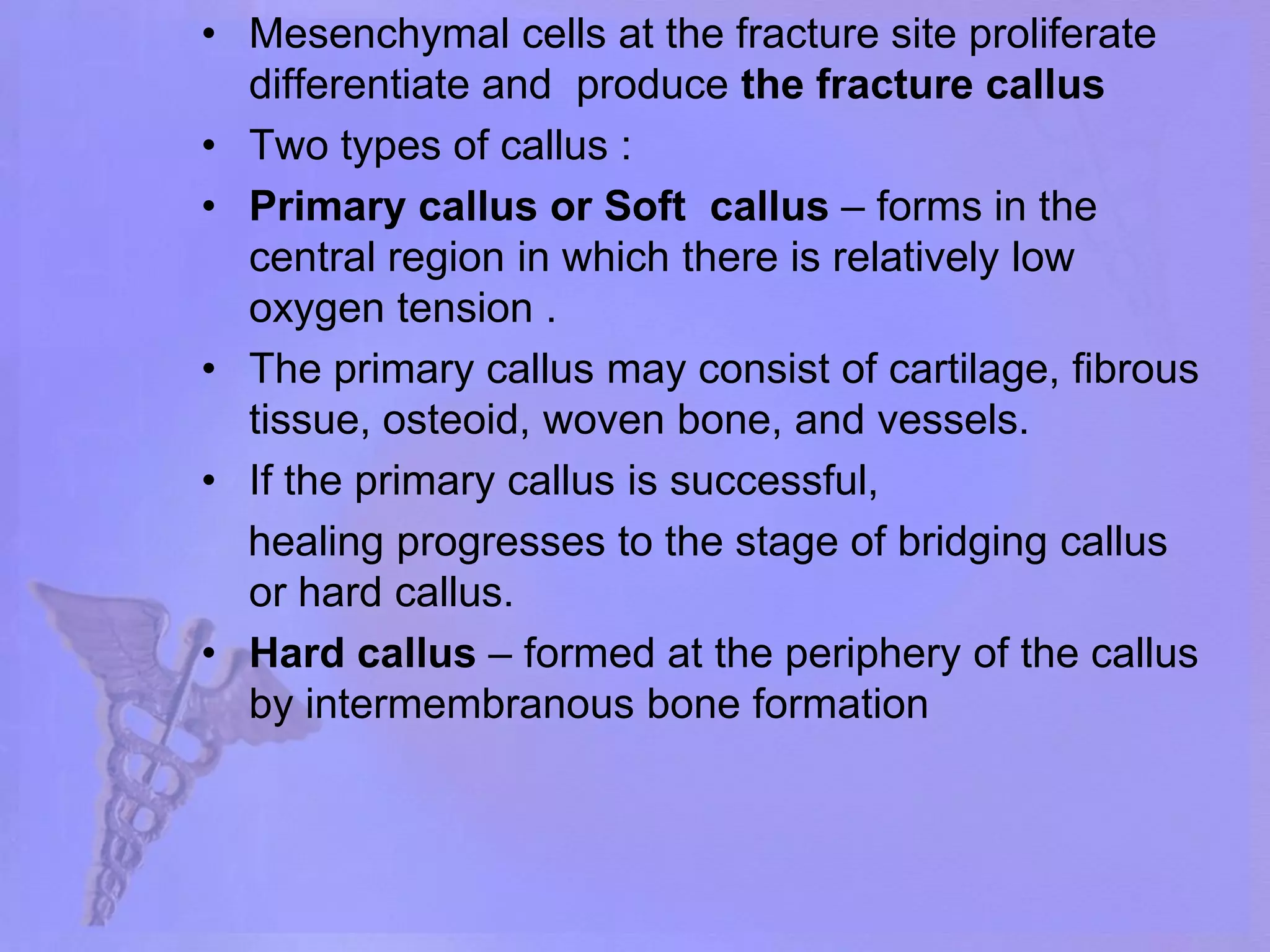 Fracture healing | PPTX