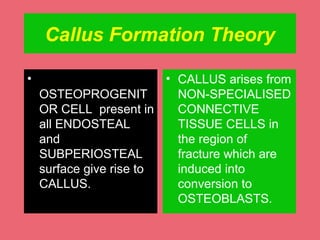 Fracture healing | PPT