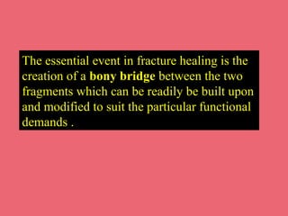 Fracture healing | PPT