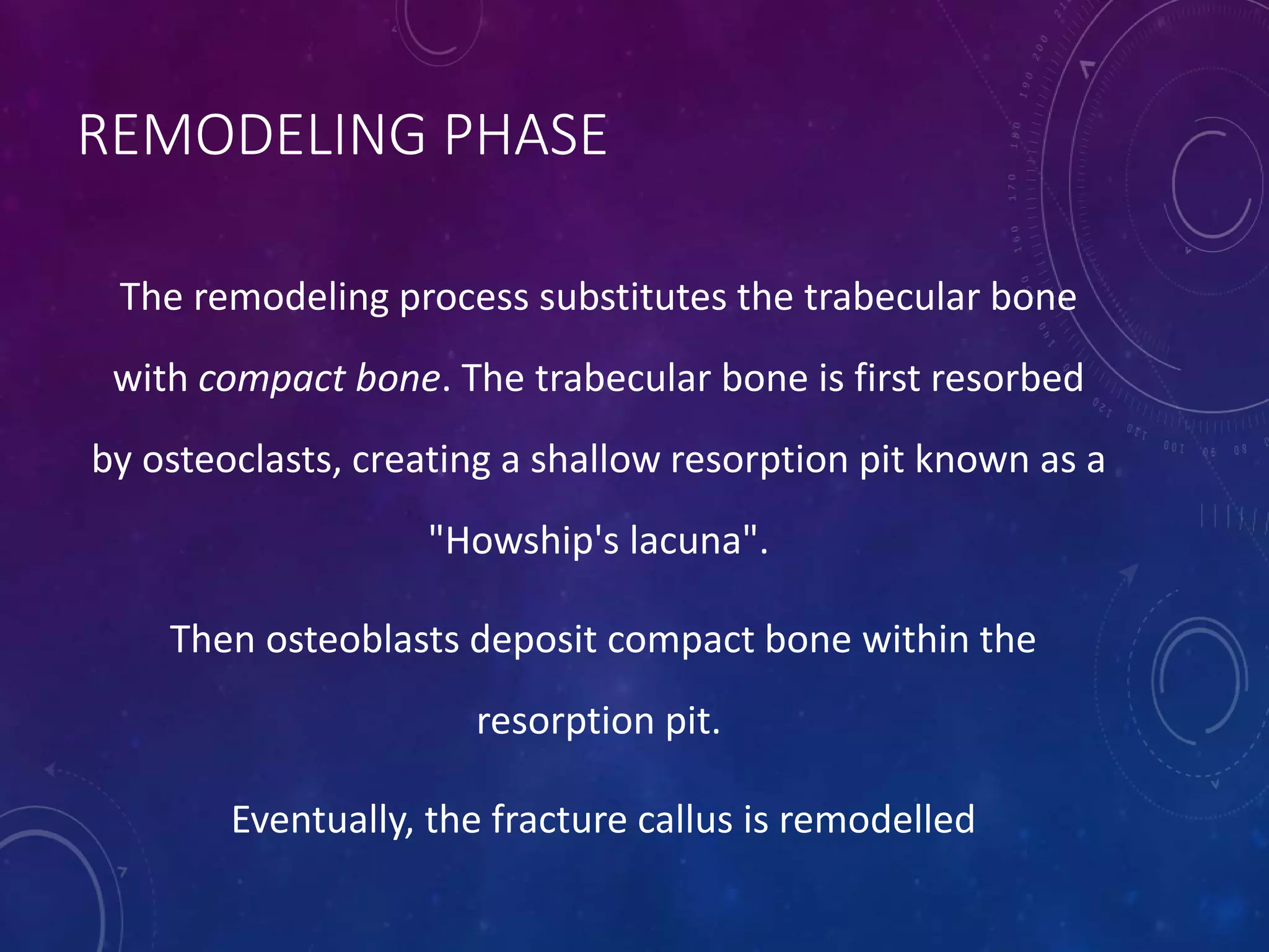 Fracture healing | PPTX