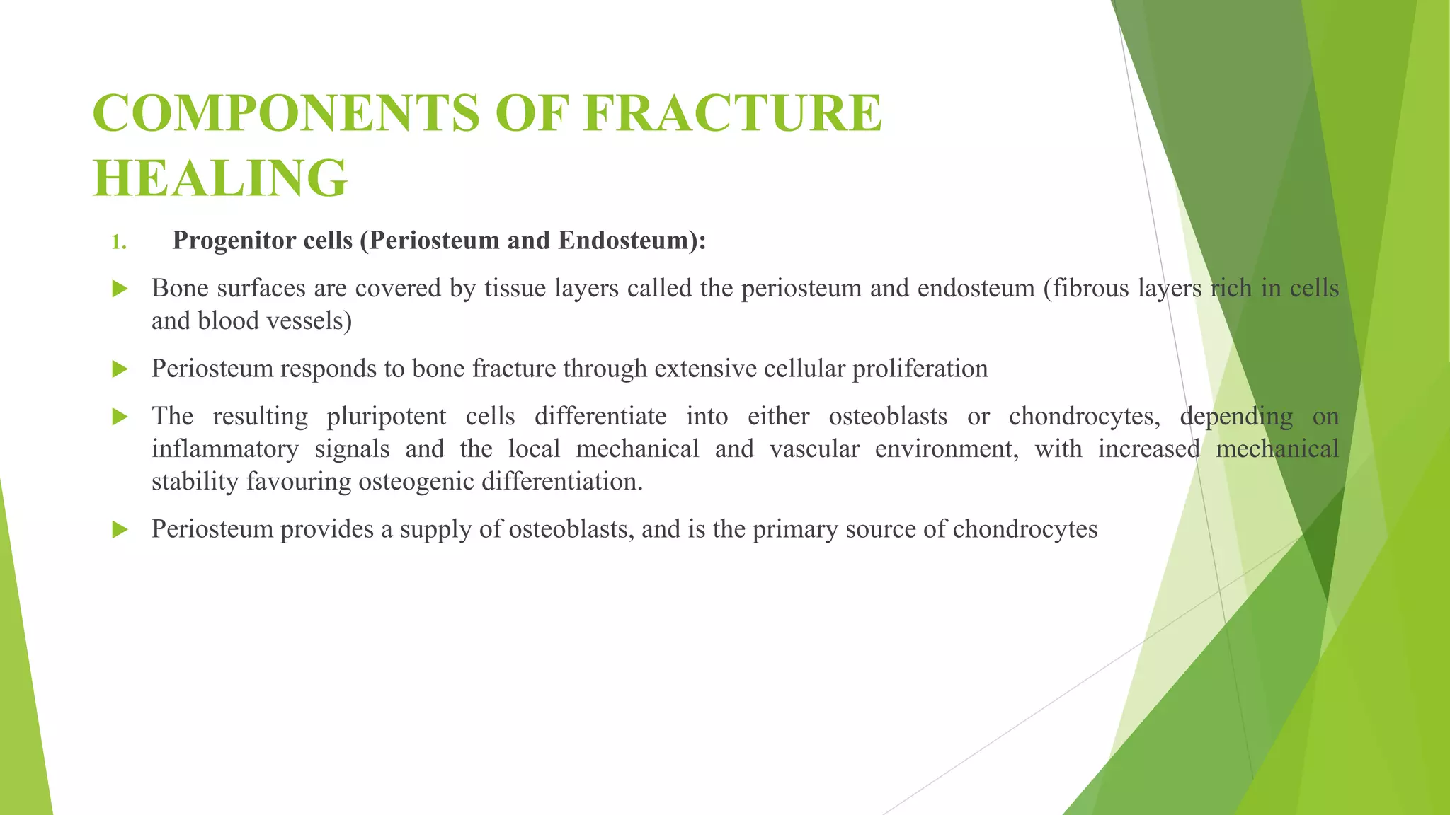 Fracture healing | PPTX