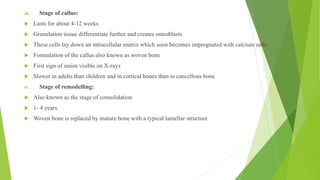 Fracture healing | PPTX