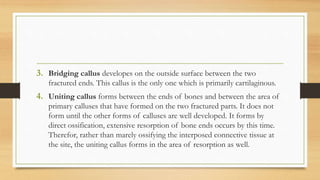 Fracture healing | PPTX