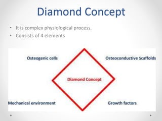 Bone biology and principle of bone healing. | PPTX