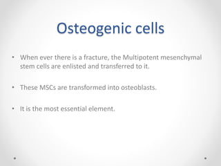 Bone biology and principle of bone healing. | PPT