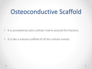 Bone biology and principle of bone healing. | PPT