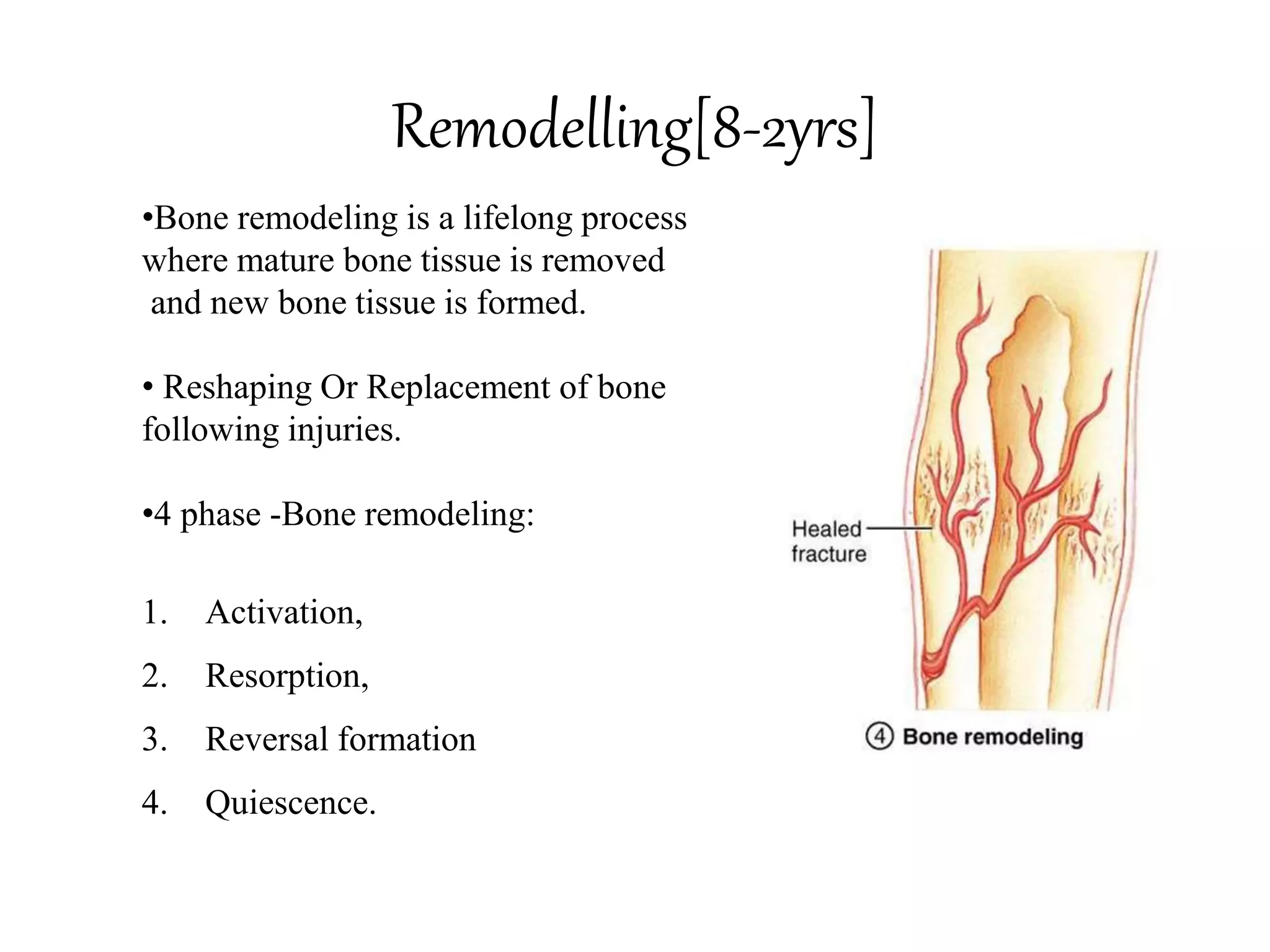 Fracture healing | PPTX