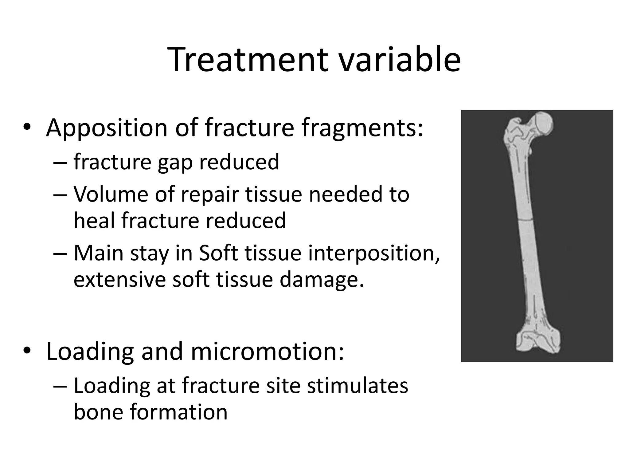 Fracture healing By Dr Baijnath Agrahari | PPTX