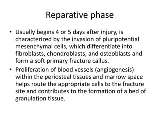 Fracture healing By Dr Baijnath Agrahari | PPTX