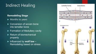 Fracture Healing.pptx