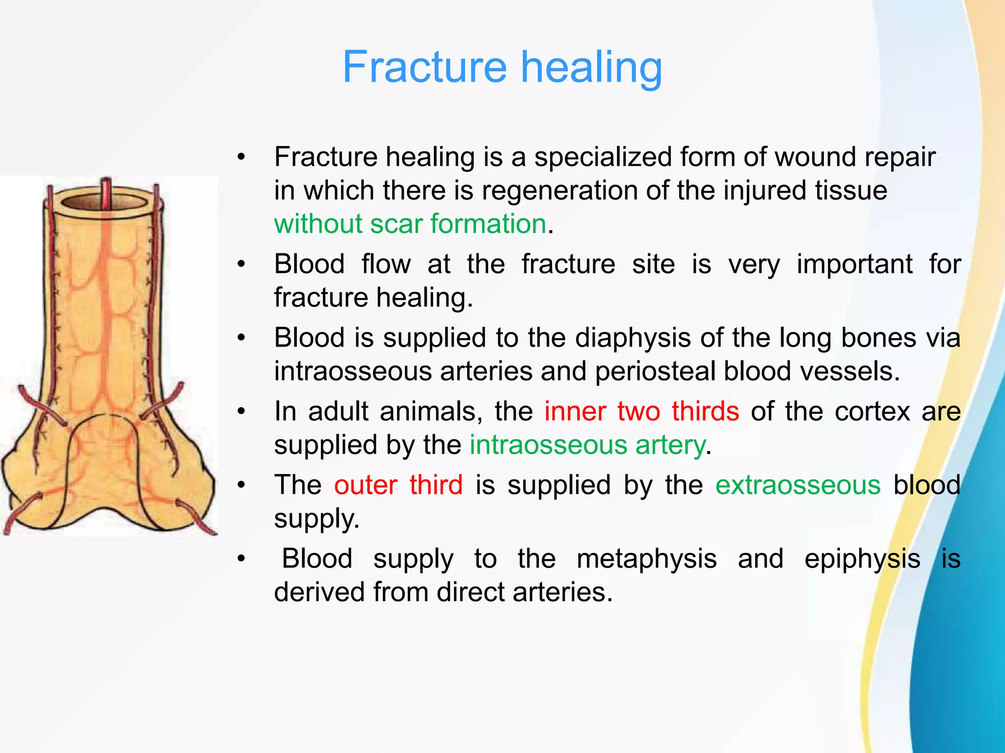 Fracture Healing.pptx