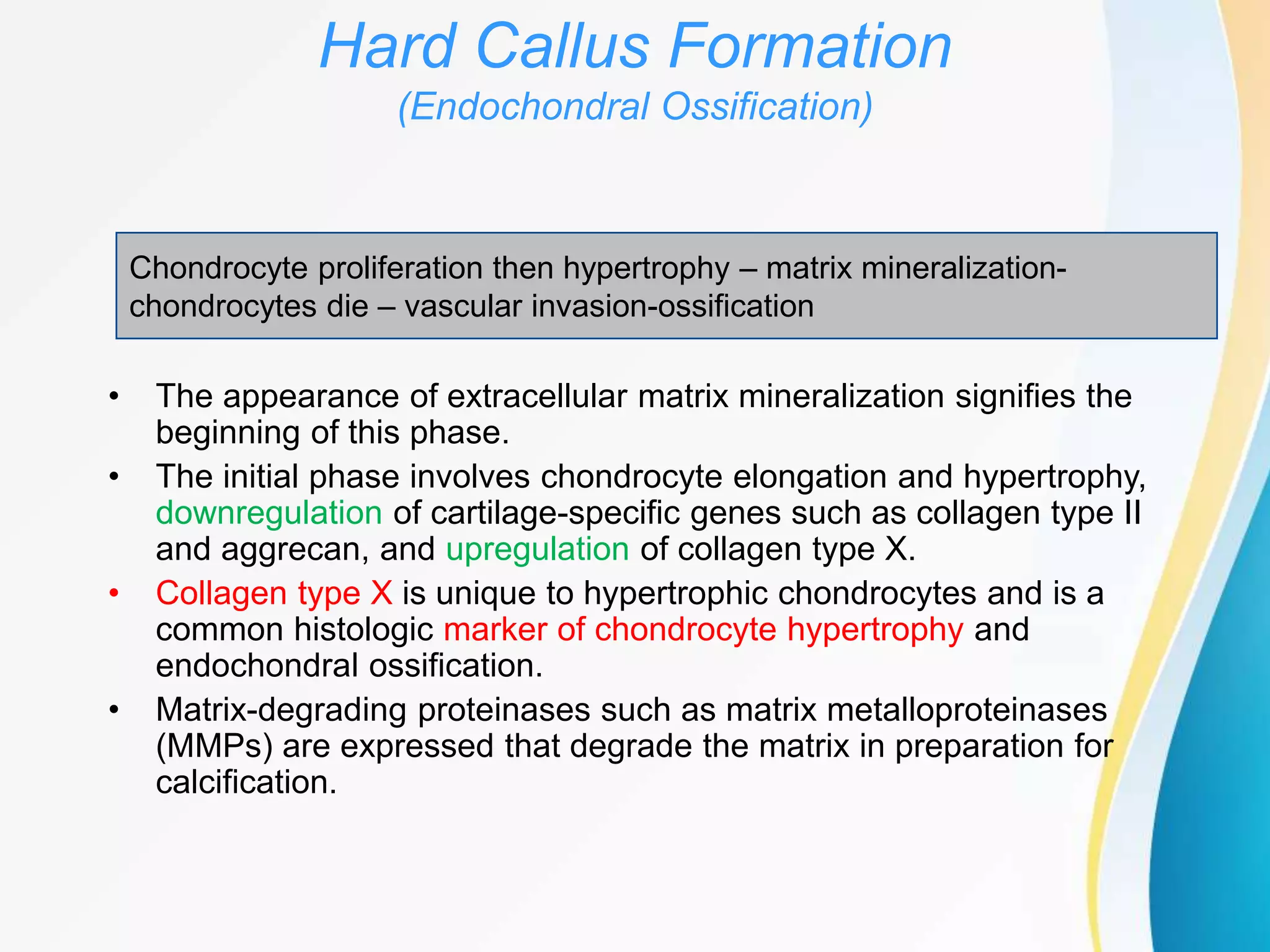 Fracture Healing.pptx