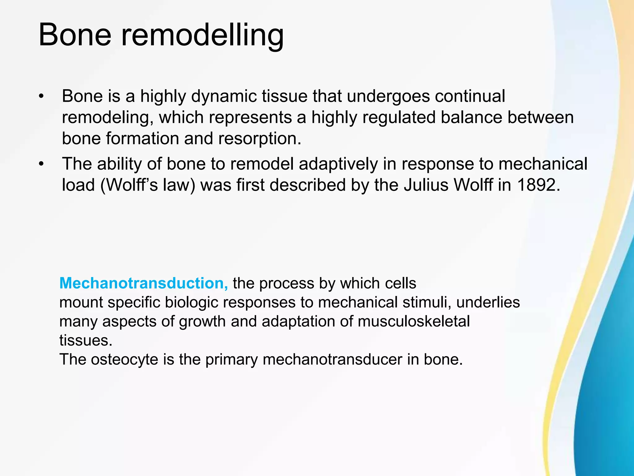 Fracture Healing.pptx