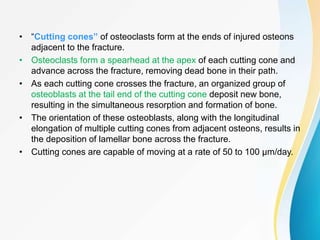 Fracture Healing.pptx