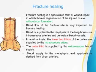 Fracture Healing.pptx