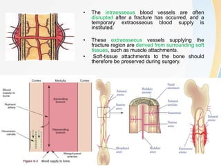 Fracture Healing.pptx