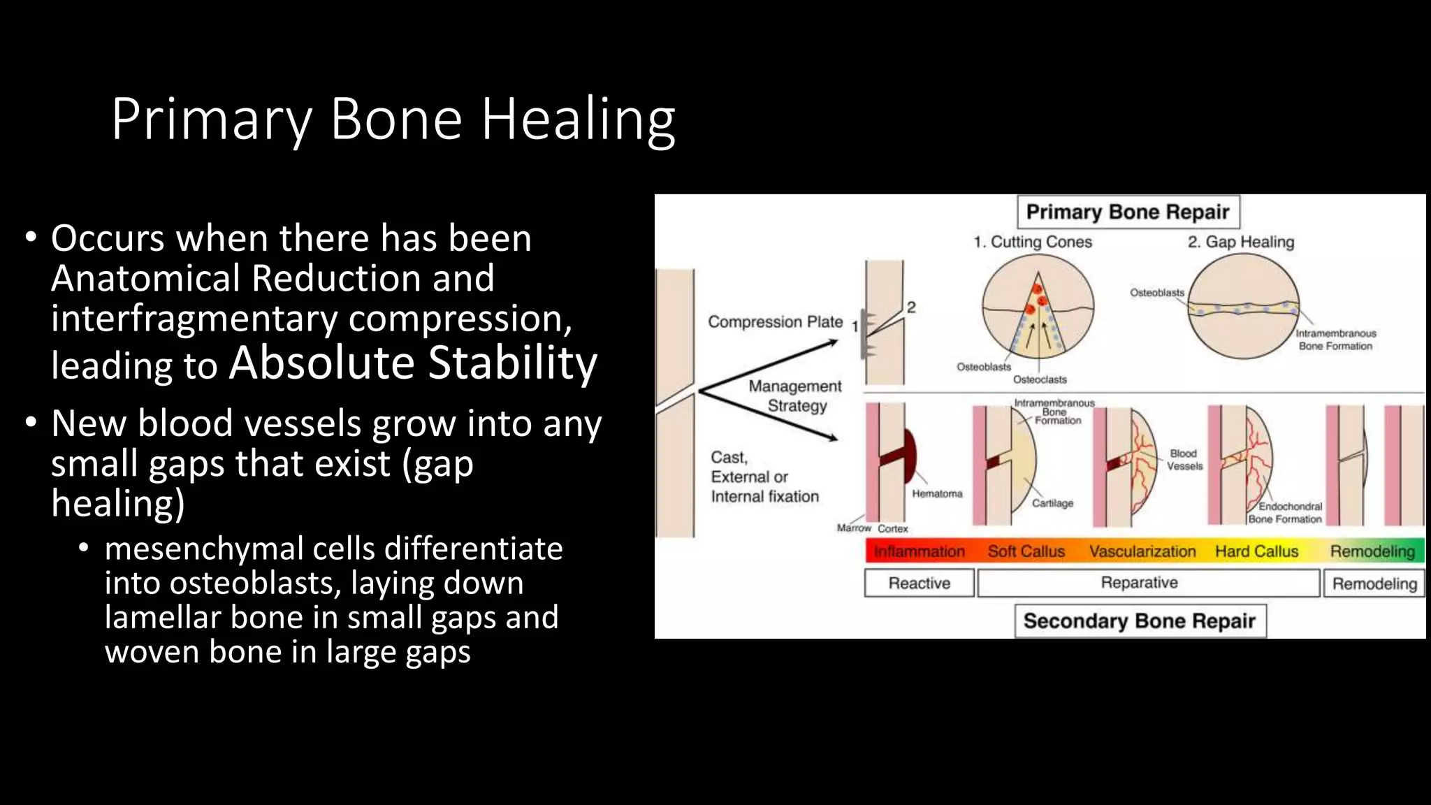 Fracture Healing.pptx